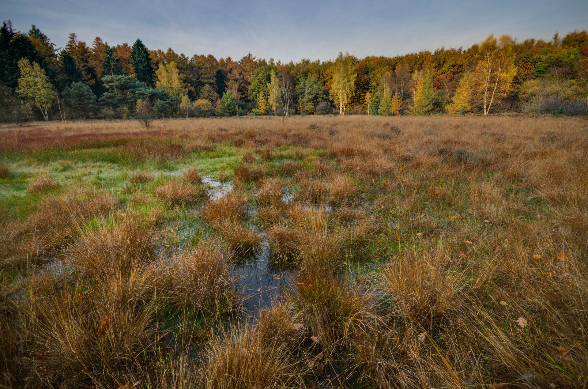 Climate impact of farming, land use (change) and forestry in Germany ...